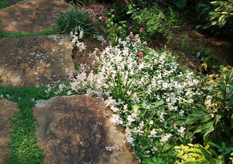 Snow-N-Summer™ | Gardeners Confidence Collection®